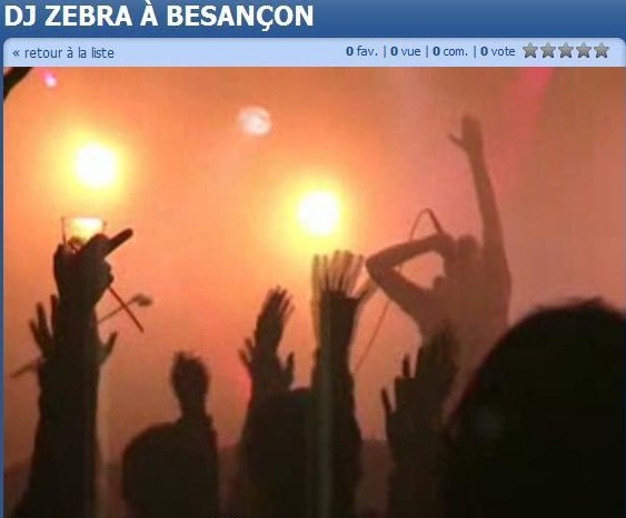 VIDEO DJ Zebra fait vibrer “les Nuits d’Interférences” • macommune.info