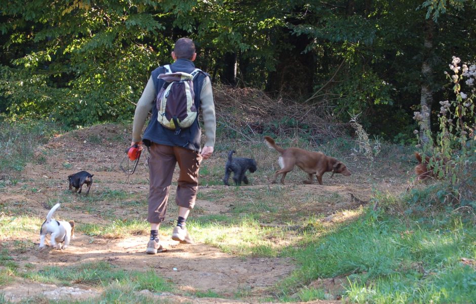 Envoyez le se promener! • macommune.info