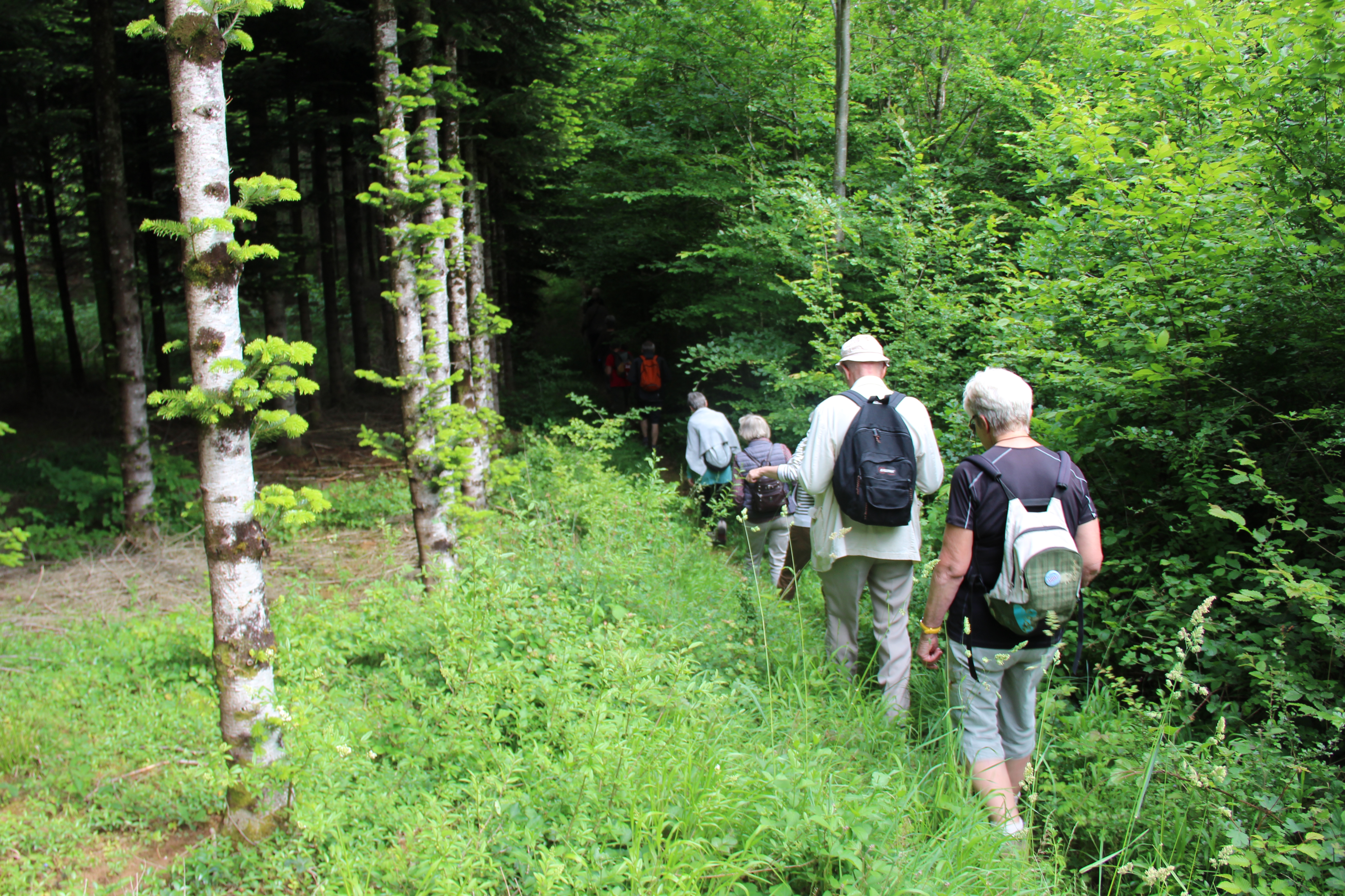 L’idée rando du week-end : le sentier découverte de Larnod • macommune.info
