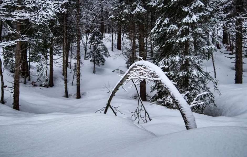 Grand froid : vos photos vont vous glacer… • macommune.info