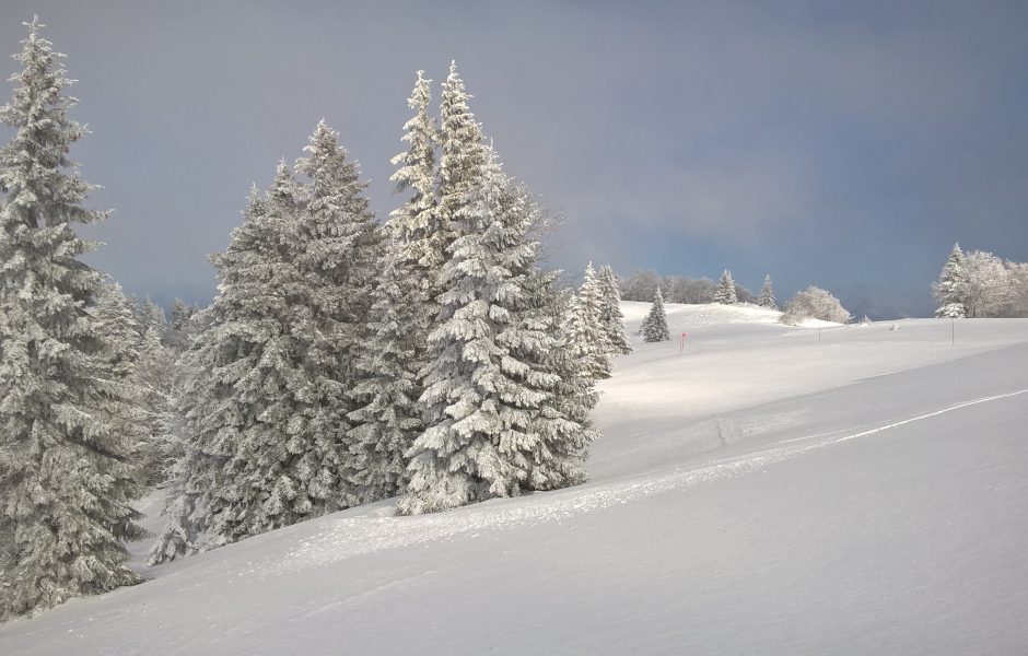 Grand froid : vos photos vont vous glacer… • macommune.info