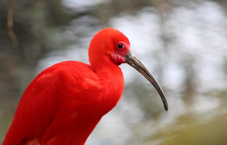 L’été au Muséum de la Citadelle • macommune.info