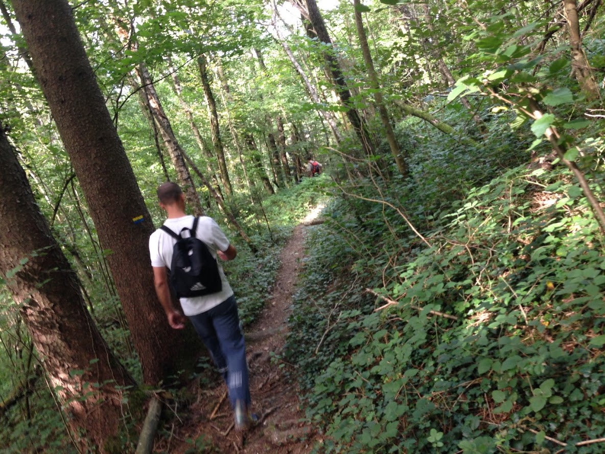 Idée rando du week-end : le sentier du bois de la Fougère • macommune.info