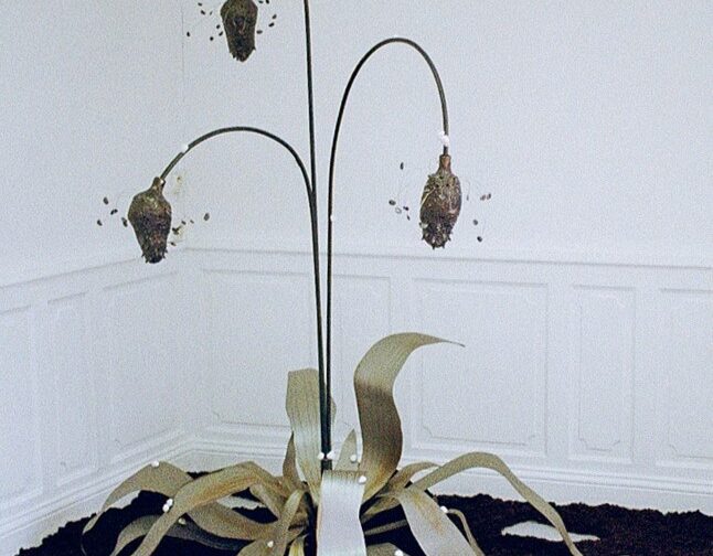 Exposition de Chloé Saksik “Sous le meulière, un jardin” • macommune.info