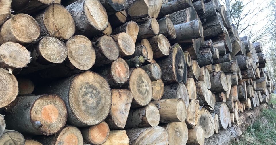 Le préfet du Doubs valorise l’utilisation du bois scolyté local ...