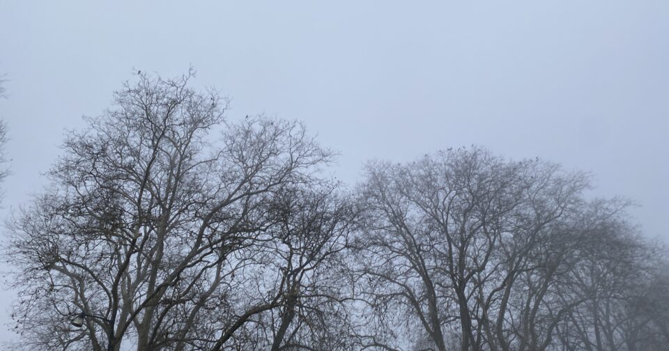 Météo : un week-end très nuageux avec du brouillard et presque pas de ...
