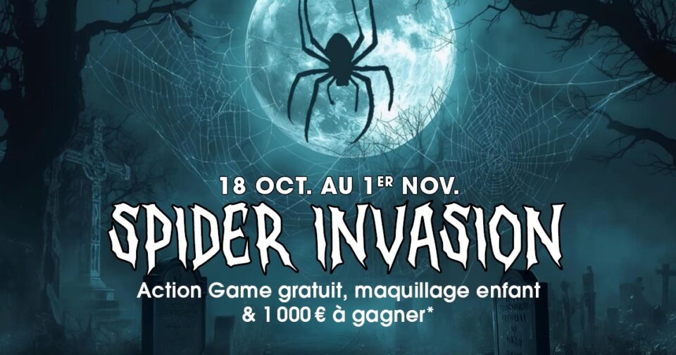 “Spider invasion” : un événement insolite dans la Galerie Chateaufarine ...