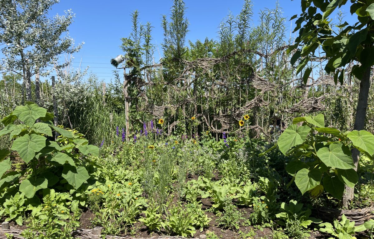 Saline royale d’Arc-et-Senans : le Festival des jardins 2026 explore le ...
